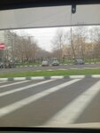 НГМА (Krasnodar Territory, Novorossiysk, Lenina Avenue), toplu taşıma durağı  Novorossiysk'ten