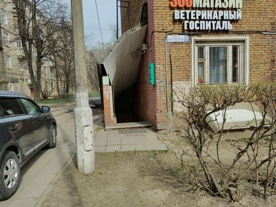 Petshop Аквазоомаг, Balaşiha, foto