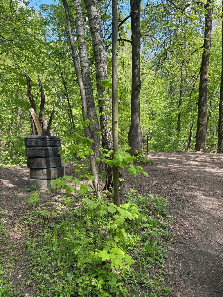 Spor alanı Воркаут, Moskova ve Moskovskaya oblastı, foto