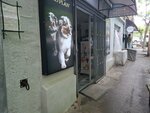 Zoo market vera (Gudauri Street No:2), petshop  Tiflis'ten