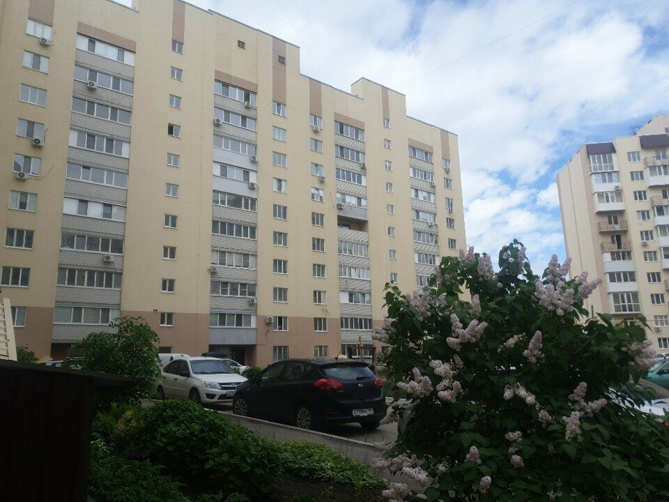 Tavan sistemleri Art Standart, Saratov, foto