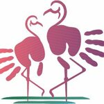 Фламинgo! (Sportivnaya ulitsa No:3, posyolok gorodskogo tipa Selyatino), yüzme havuzları  Moskova ve Moskovskaya oblastından