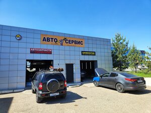 Автосервис (ulitsa Shevchenko No:51), otomobil servisi  Almetyevsk'ten (Elmet'ten)
