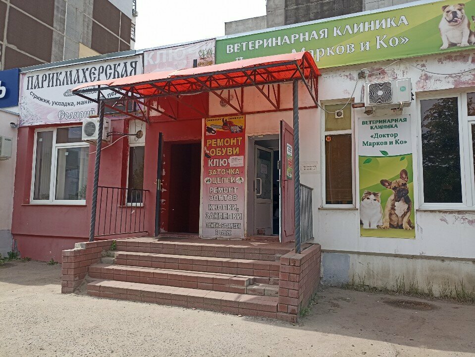 Veteriner klinikleri Doktora Markova i Ko, Yaroslavl, foto