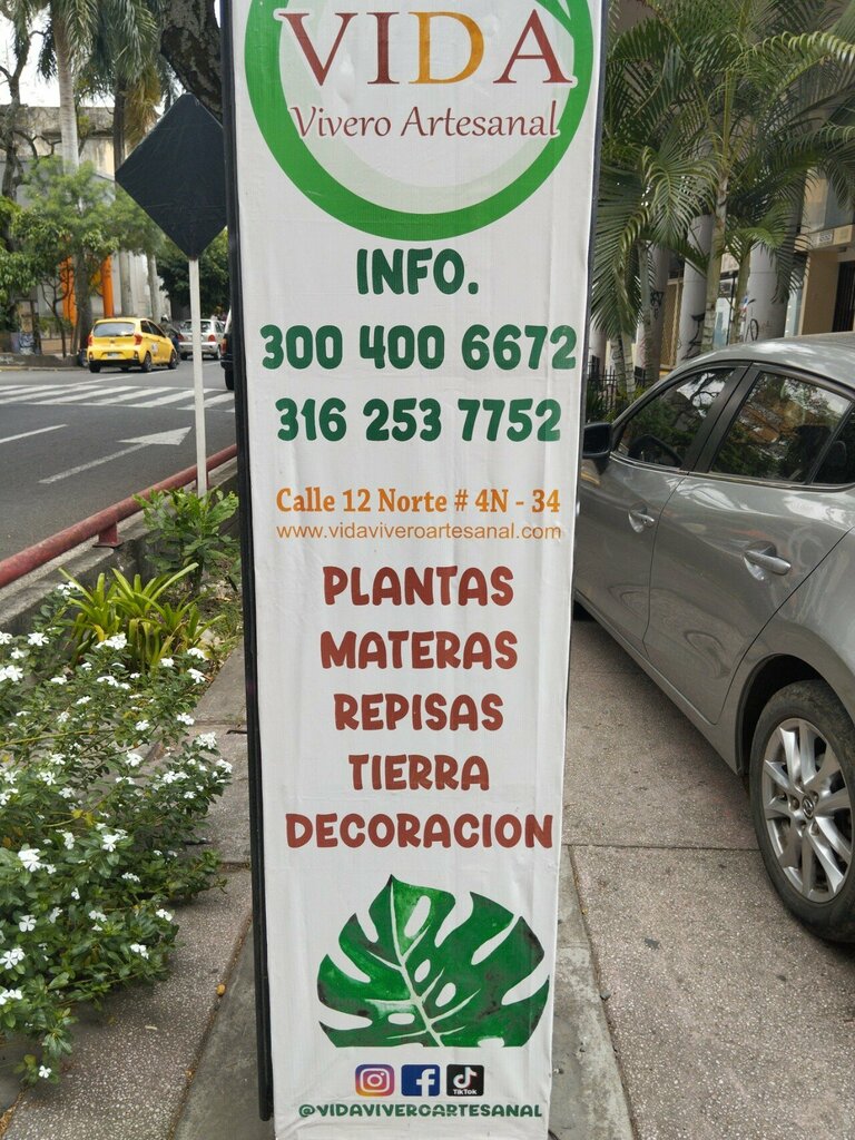 Fidan yetiştiriciliği Vida Vivero Artisanal, Cali, foto