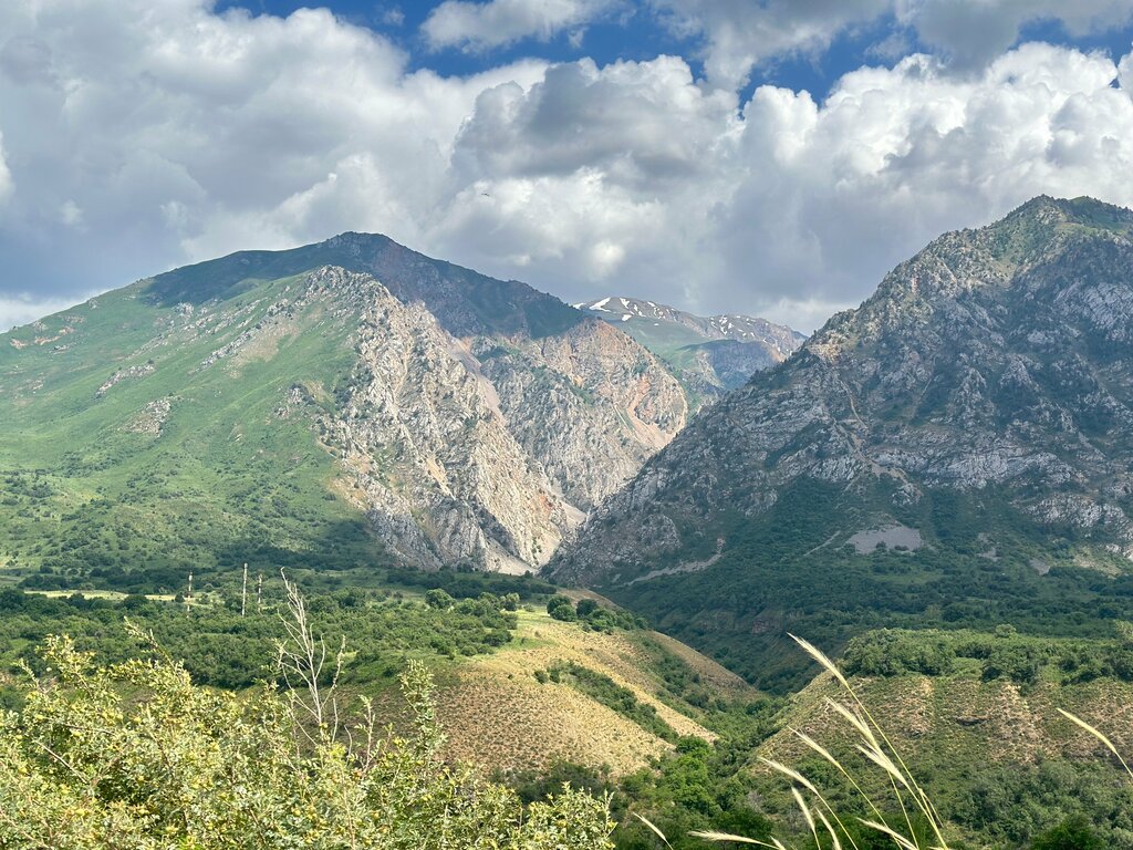 Parklar ve ormanlar Угам-Чаткальский национальный парк, Taşkent eyaleti, foto