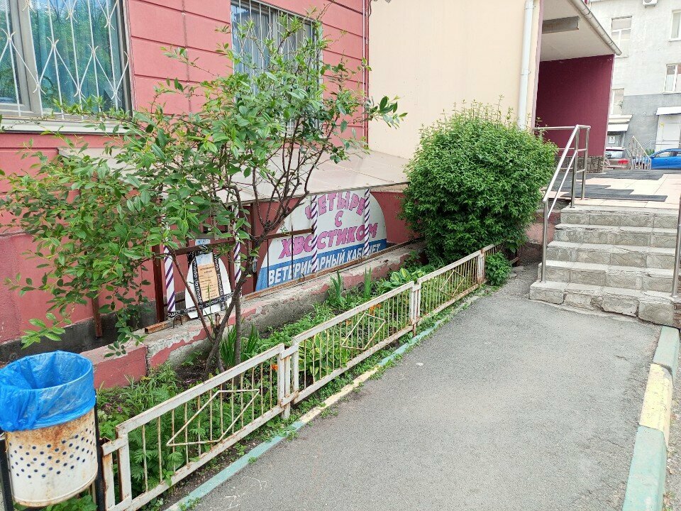 Veteriner klinikleri Chetyre s khvostikom, Çeliabinsk, foto