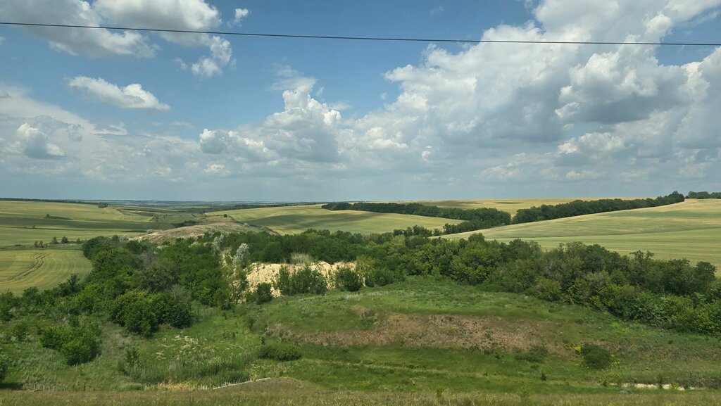 Orman лес Лиманный, Voronejskaya oblastı, foto