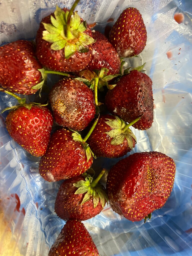 Manavlar 1001 Фрутамир, Moskova, foto