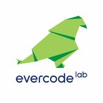 Evercode Lab (Stepana Razina Street No:8А), bilişim firmaları  Saint‑Petersburg'dan
