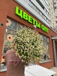 Поцветочим. Опт (Tikhookeanskaya ulitsa No:1к2), çiçekçiler  Saint‑Petersburg'dan
