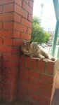 Playground (Omsk, Tsentralniy District), oyun alanı  Omsk'tan
