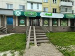 AnsoR Halal Food (Rikharda Zorge Street No:6), kafe  Ufa'dan