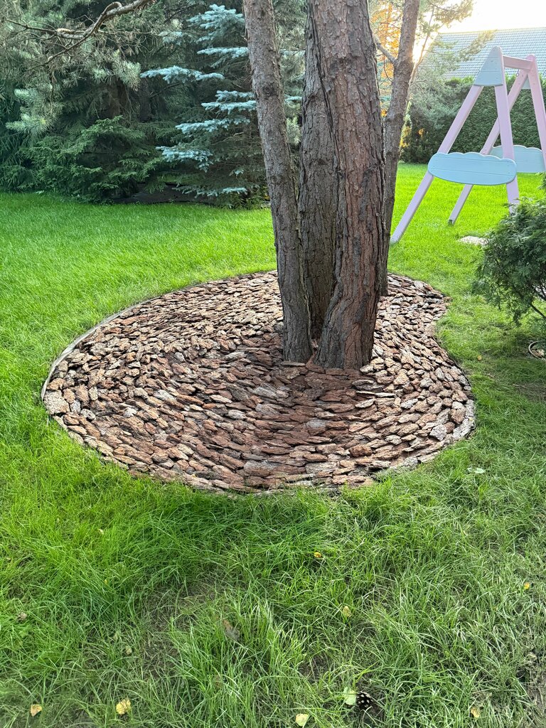 Bahçecilik mağazaları Kora dereva, Moskova, foto