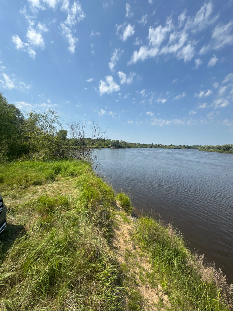 Piknik alanı Место для пикника, Gomelskaya oblastı, foto