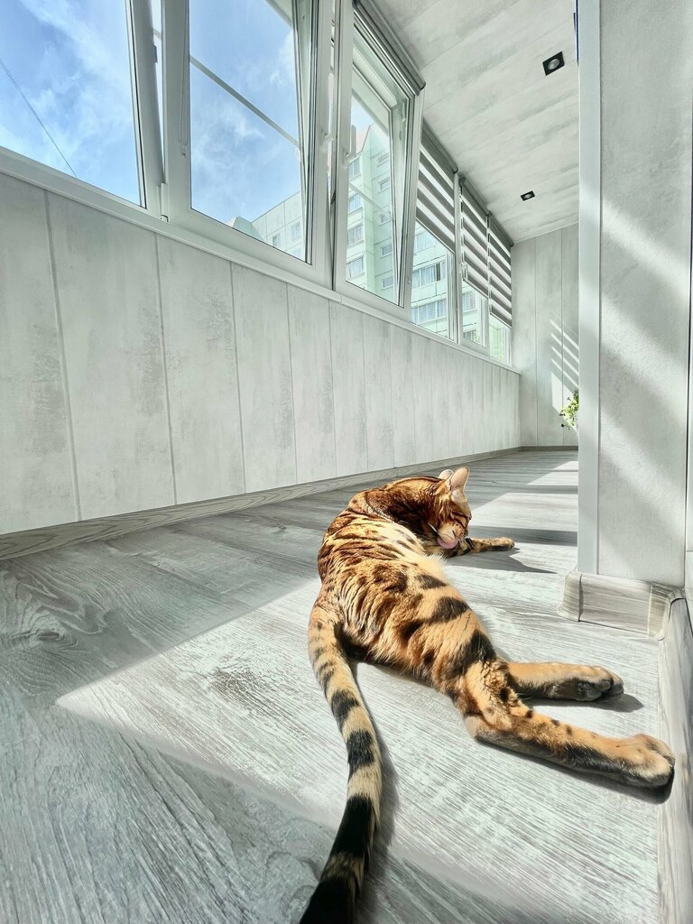 Cam balkon hizmetleri Teply balkon, Saint‑Petersburg, foto