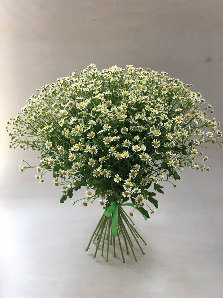 Çiçek teslimatı Market-Flora, Novodvinsk, foto