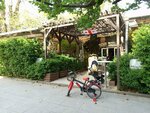 Neocca (Vaja-Pshavela Street No:1), kafe  Batum'dan