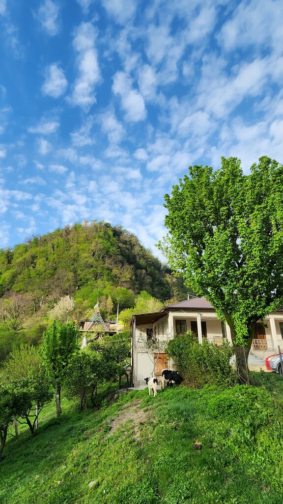 Otel Анухва, Gudauta Bölgesi, foto
