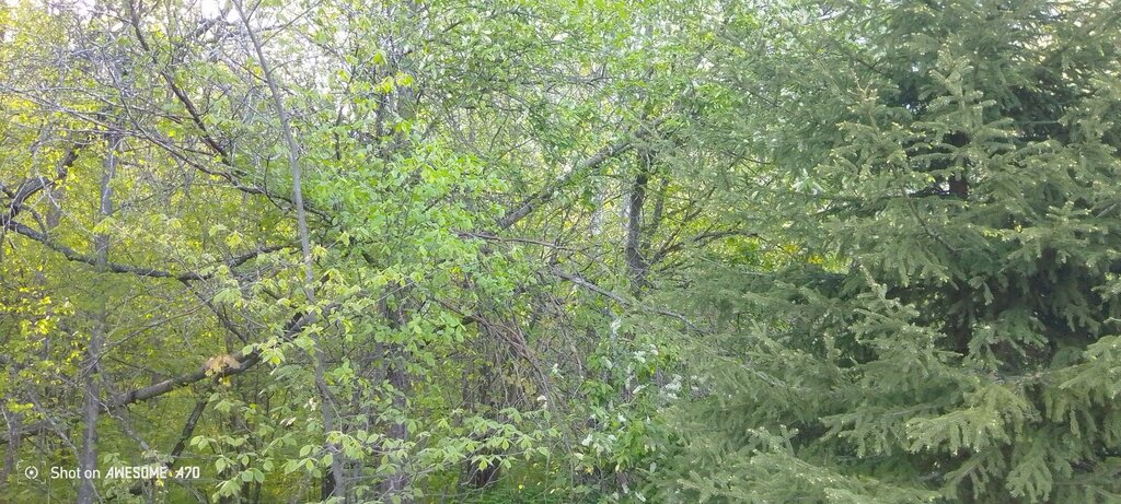 Sınır kapısı Tul, Fergana eyaleti, foto