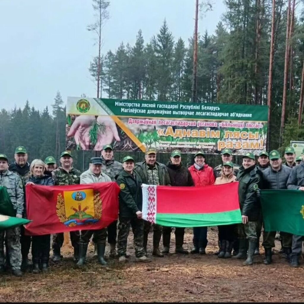 Orman işleri Belynichsky leskhoz GLKhU, Bialynichy, foto