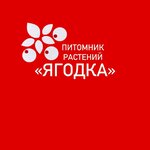 Ягодка (Gagarina Street No:33Б), sera ve bahçe ürünleri  Artem'den