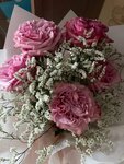 Redrose (ulitsa Shpacheka No:12/5), kutlama ürünleri  Irkutsk'tan