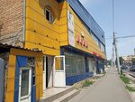 Tamanbaevten Komuz Kurs (Kalyk Akiev Street No:140Б), enstrüman mağazaları  Bişkek'ten