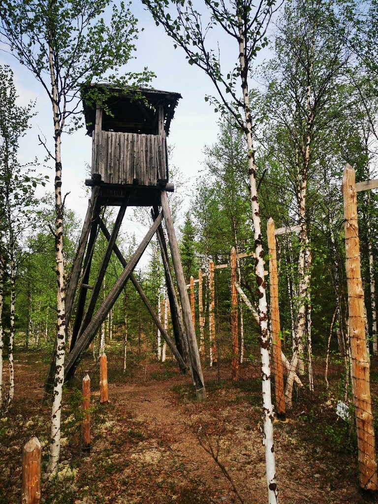 Unutulmaz olayların yeri Разъезд Глухариный стройки № 501, Yamal‑Nenets Özerk Bölgesi, foto