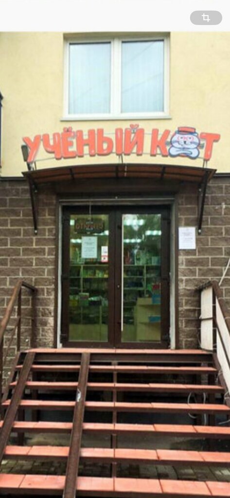 Kırtasiyeler Учёный кот, Saint‑Petersburg ve Leningradskaya oblastı, foto