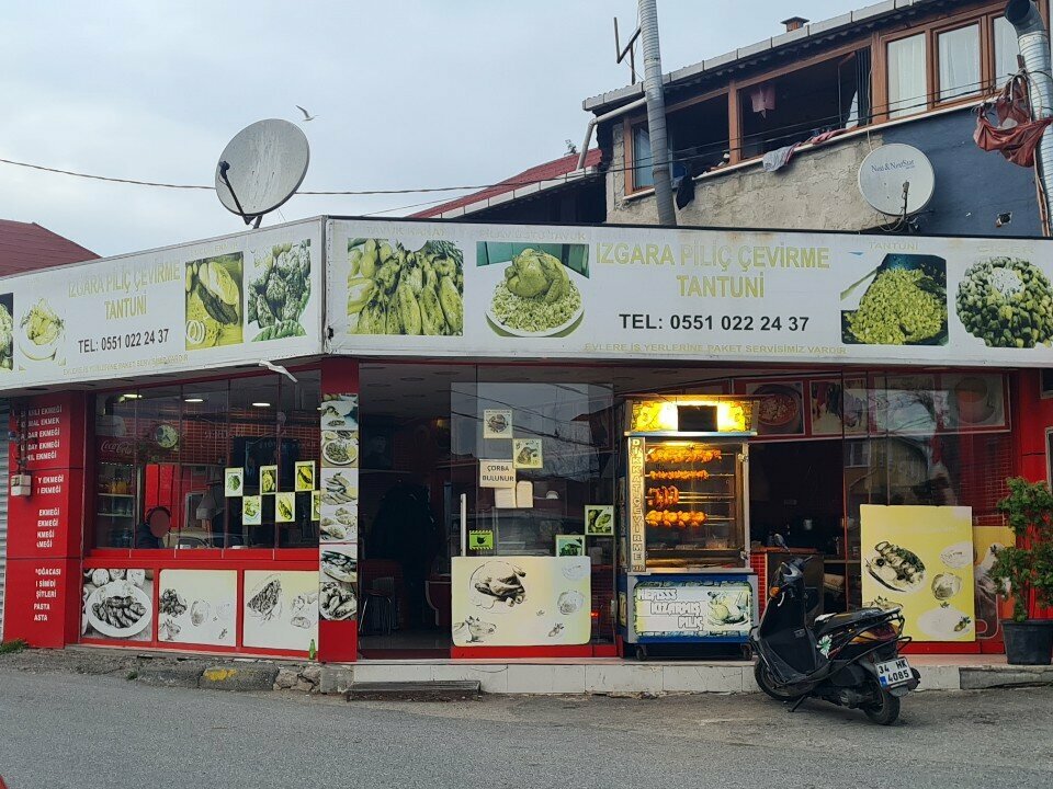 Fast food Izgara Piliç Çevirme Tantuni, İstanbul, foto