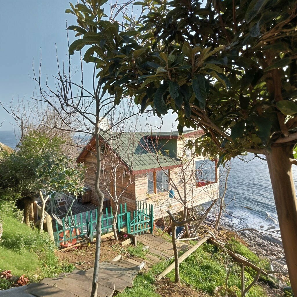 Kısa süreli konaklama Patili, Ağaç Ev, Perşembe, foto