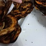 Mervan Ekmek Fırını (Diyarbakır, Kayapınar, Nazım Hikmet Cad., 36AA), ekmek fırını  Diyarbakır'dan