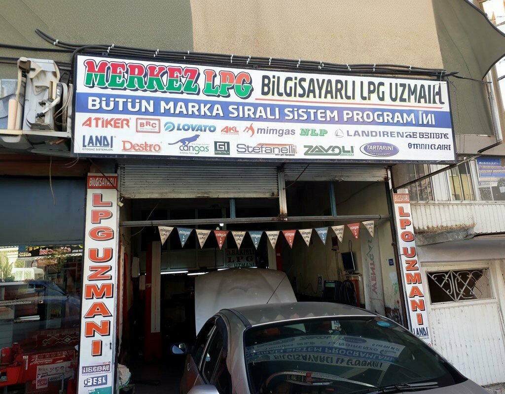 Otomobil servisi D. Bakir Lpg Bilgisayarli Uzmani, Batman, foto