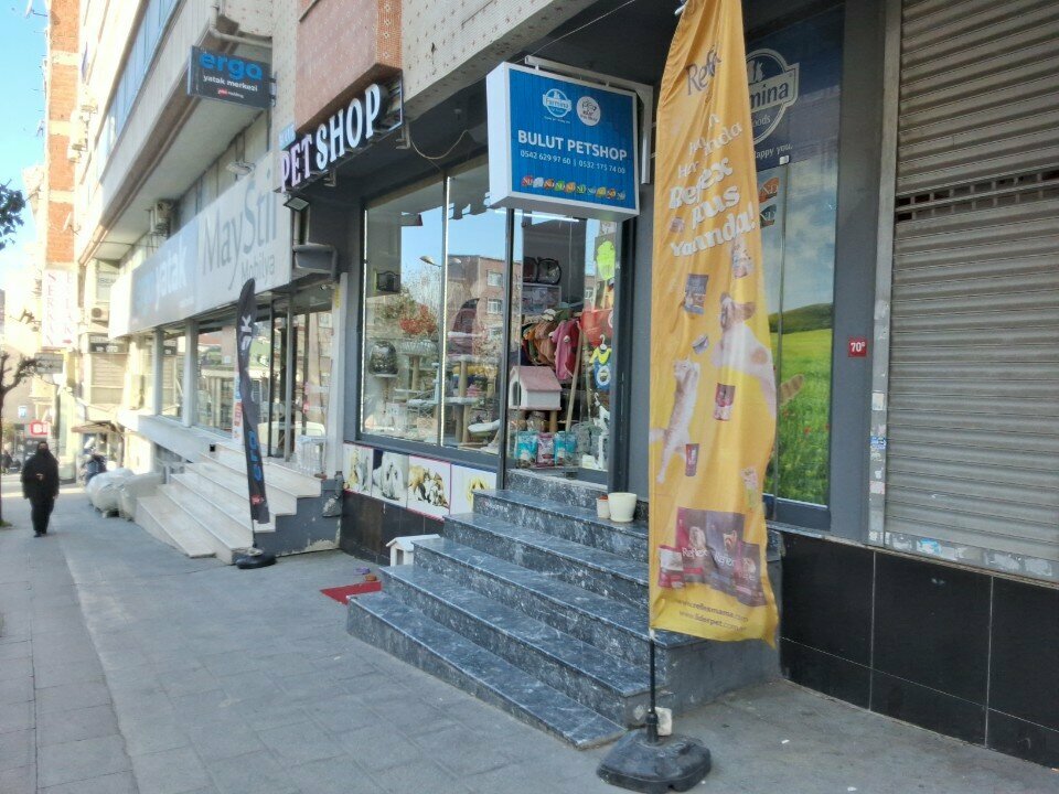 Petshop Bulut Pet Shop, İstanbul, foto