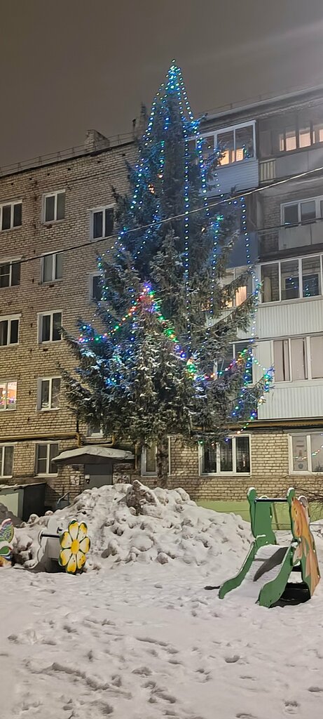 Oyun alanı Playground, Jiguliovsk, foto