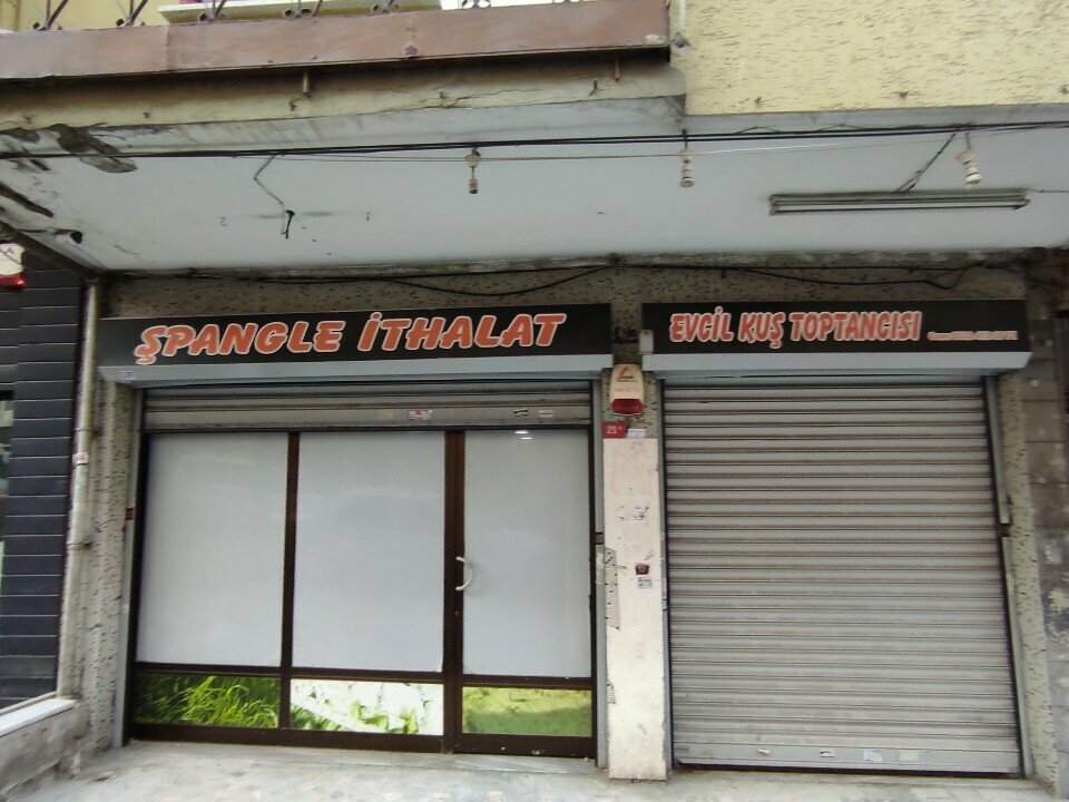 Petshop Şpange İthalat, İstanbul, foto