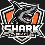 Shark (Irchi Kazaka Street No:46), bilgisayar kulübü  Makhachkala'dan