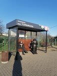 Vulica Telmana (Bresckaja voblasć, Baranavichy, vulica Telmana), toplu taşıma durağı  Baranavichy'den