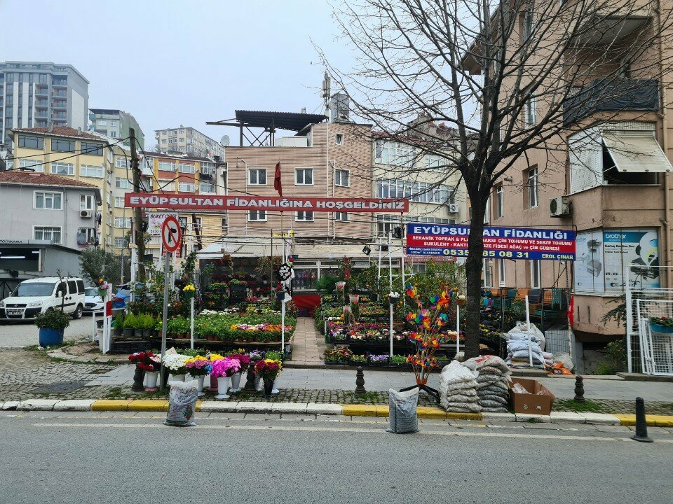 Peyzaj tasarımı Eyüpsultan Fidanlığı, İstanbul, foto