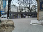 Flower shop (Dacia Boulevard No:44, Chisinau), çiçekçiler  Kişinev'den