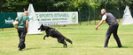 Köpek Sporları İstanbul (İstanbul, Şile, Satmazlı Mah., Aydın Cad., 63), pet otel  Şile'den