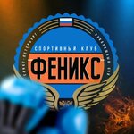 Феникс (Metallistov Avenue No:117), spor kulüpleri  Saint‑Petersburg'dan