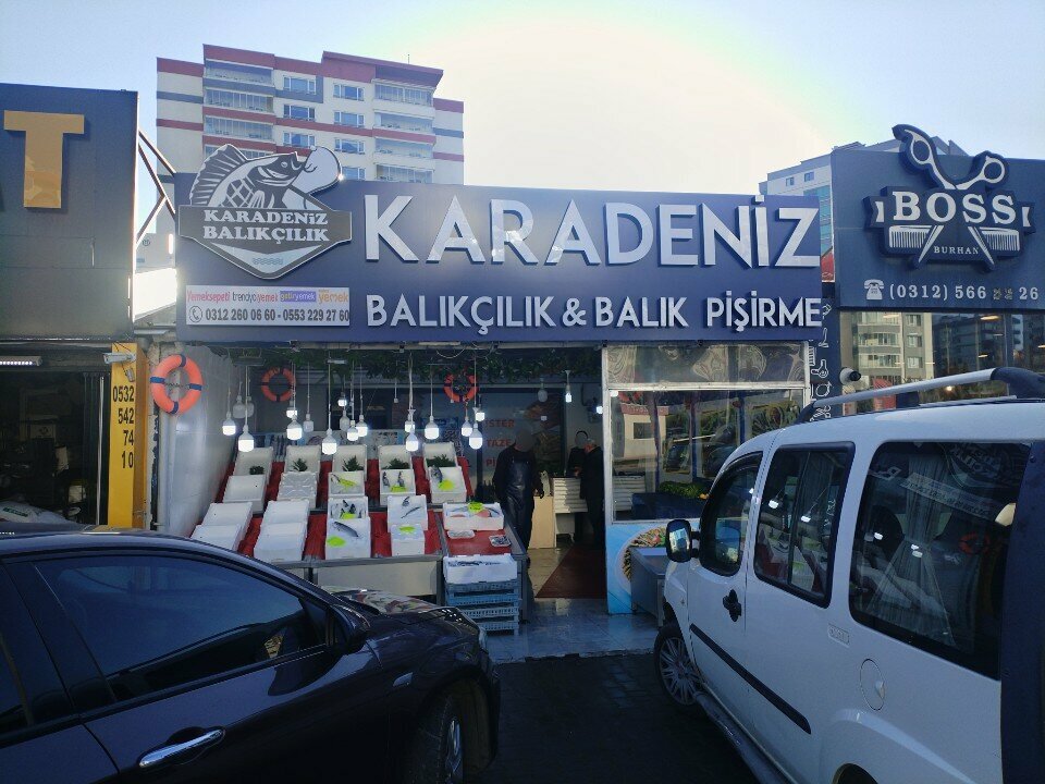 Restoran Karadeniz Balık Pişirme Evi, Ankara, foto