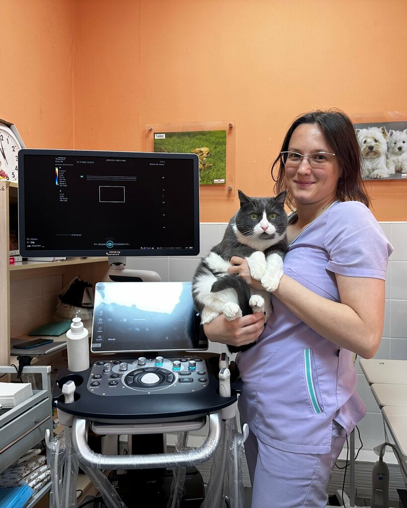 Veteriner materyalleri ve ekipmanları Zoomed, Novosibirsk, foto