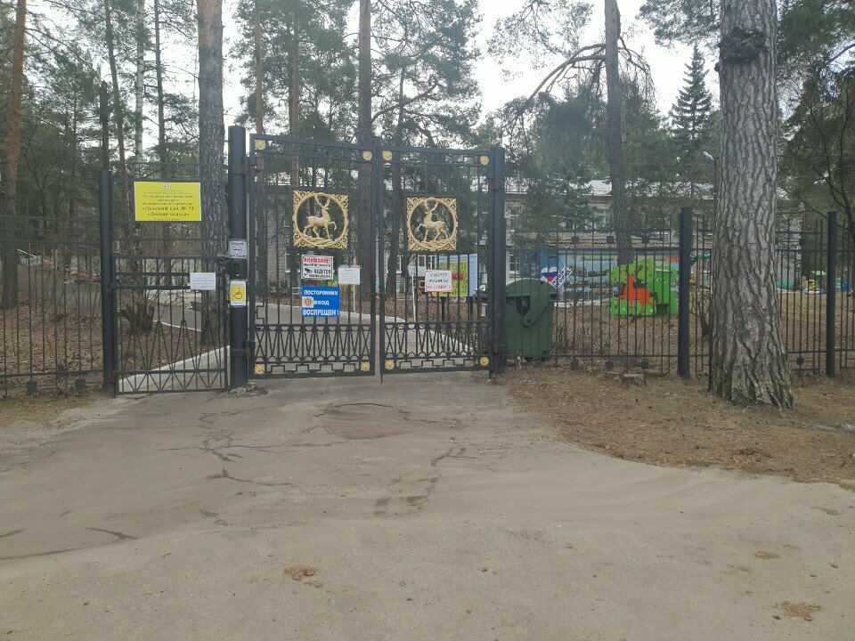Anaokulları Detsky sad № 31 prismotra i ozdorovleniya detey, Nijni Novgorod, foto