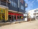 Star Music Center (Koza Mah., 98053. Sok., No:5, Seyhan, Adana), enstrüman mağazaları  Adana'dan