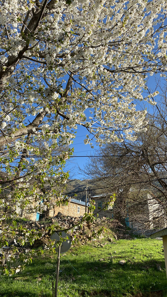 Cami Teluşağı Mahallesi Cami, Pütürge, foto