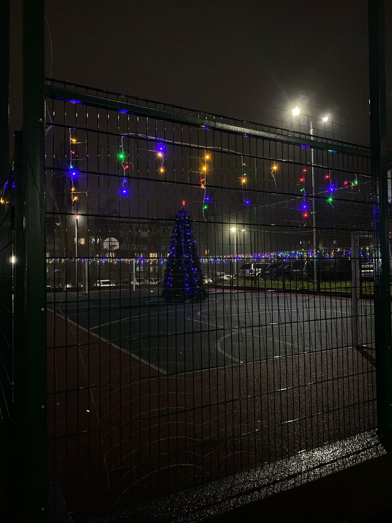 Spor alanı Футбольно-баскетбольная площадка, Rostov‑na‑Donu, foto