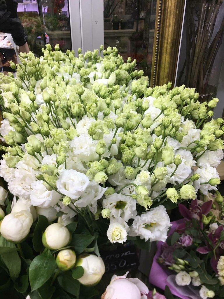 Çiçekçiler Цветник, Moskova, foto